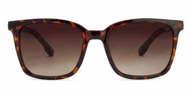 Sunglasses and Goggles: Buy Sunglasses and Shades Online in India ...